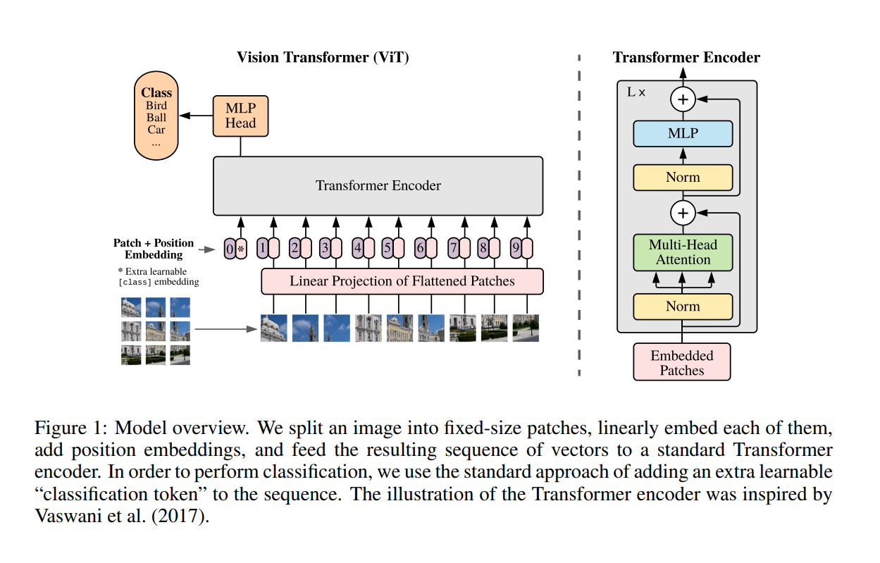 [pytorch] monai Vit 网络 图文分析-CSDN博客
