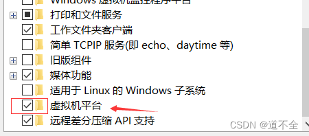 问题：this application cannot run under a Virtual Machine-CSDN博客