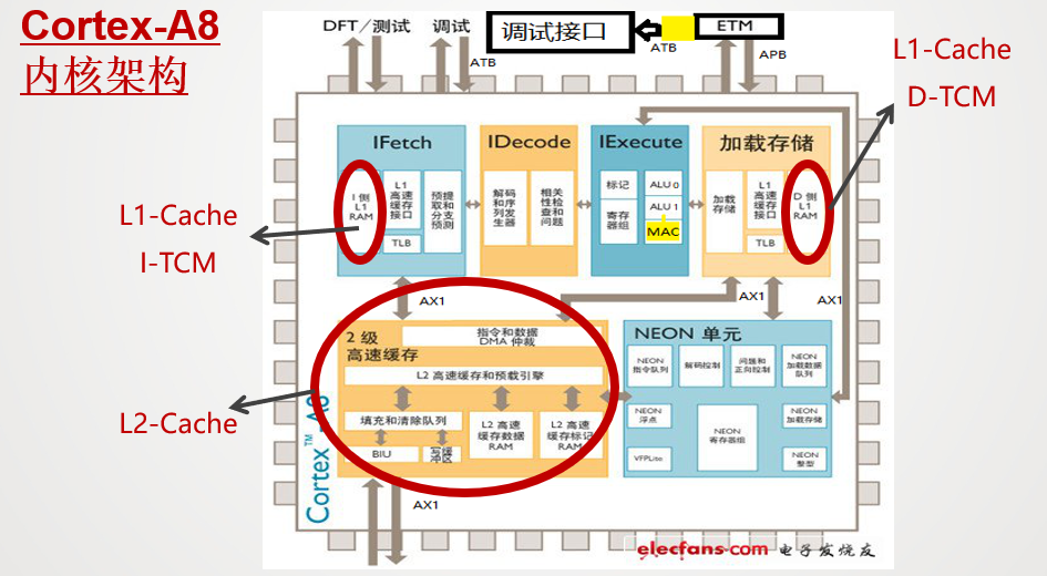 Cortex简介_m核-CSDN博客