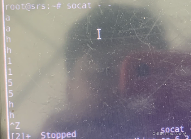 Ubuntu16.04离线安装socat_socat安装-CSDN博客