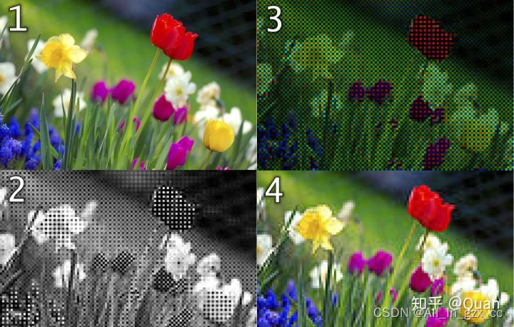 【图像基础】RAW格式图像简介_raw图-CSDN博客