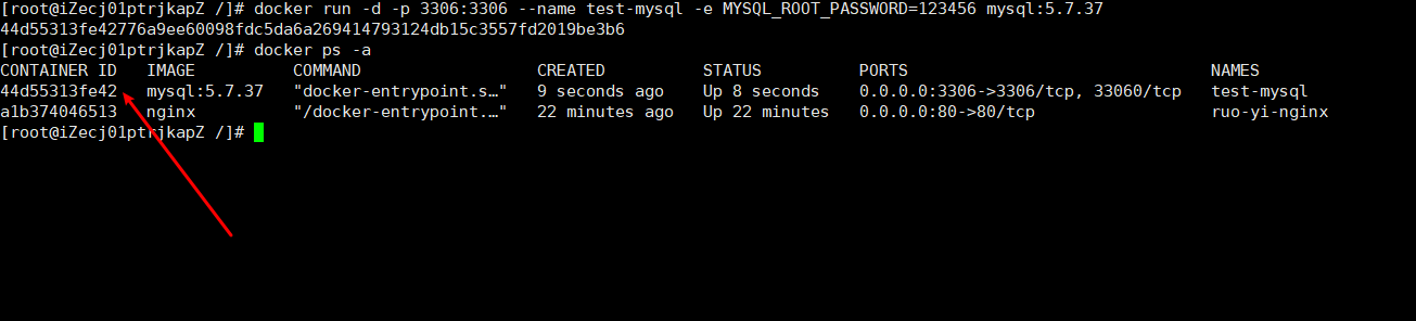 使用docker部署nginx+mysql+redis+springboot若依前后端分离项目_若依前后端分离阿里云nginx部署-CSDN博客