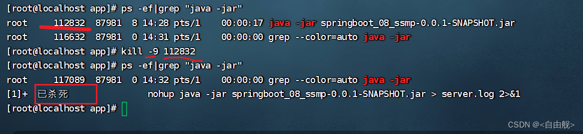 Linux环境下运行springboot程序jar包linux运行springboot Csdn博客