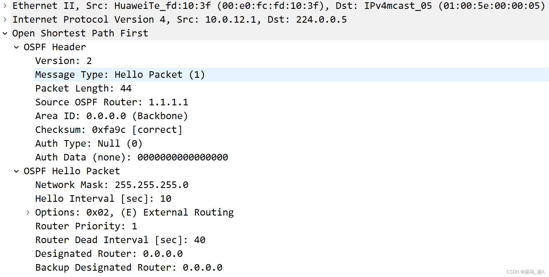 OSPF协议Hello报文_ospfhello报文-CSDN博客