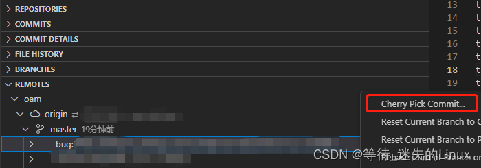 Vscode合并代码之cherry pick ，从其他分支合并单条提交到当前分支_vscode cherry pick-CSDN博客