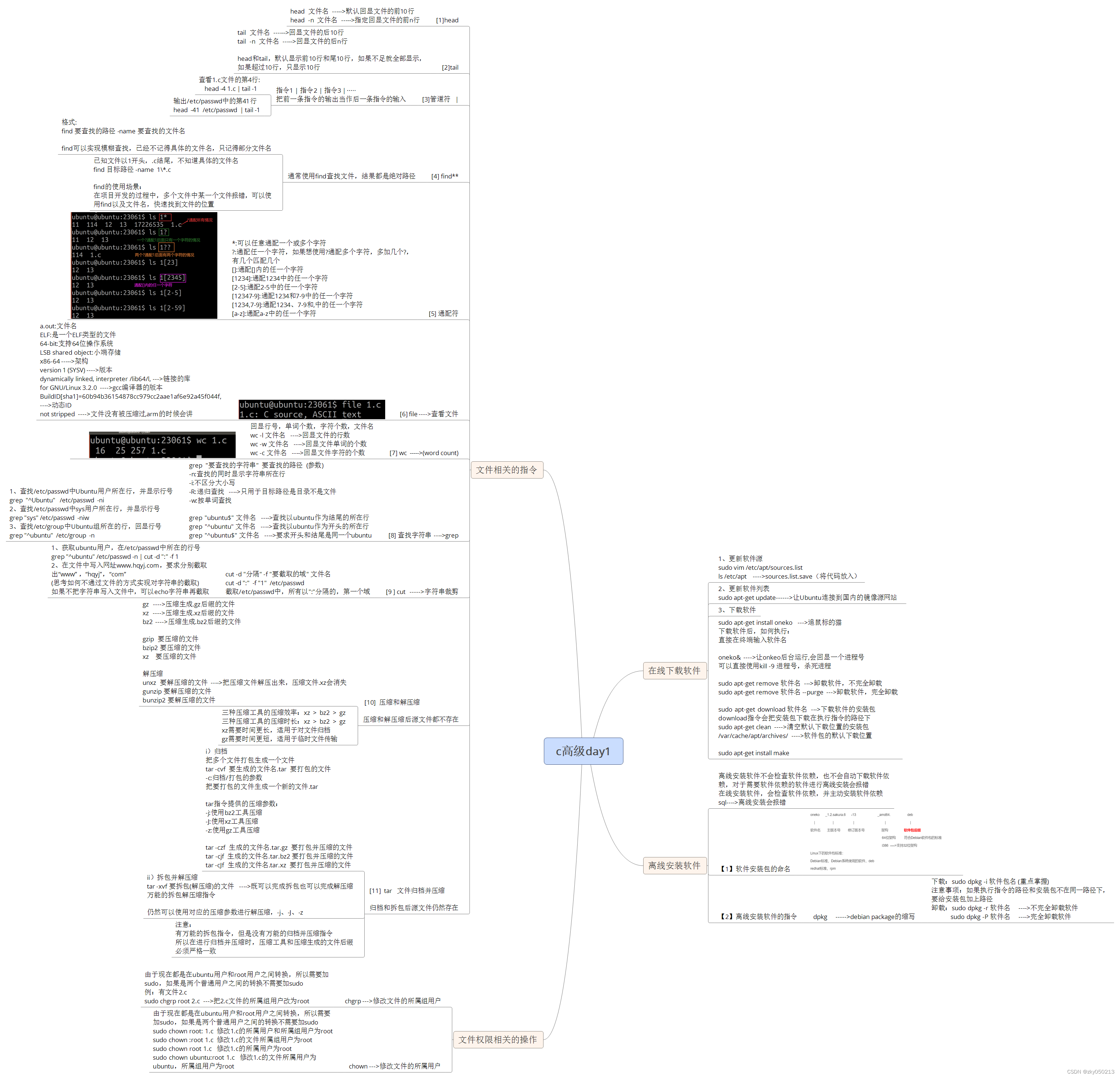 c高级 day1-CSDN博客