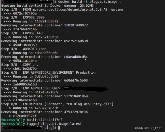 Docker中部署.Net6 webapi_docker构建webapi设置环境变量-CSDN博客