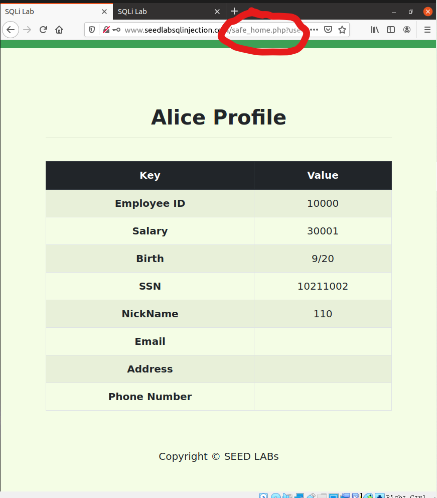 从入门到入土：[SEED-Lab]-SQL注入攻击|SQL Injection Attack Lab|详细说明|实验步骤|实验截图_seedsucuritylabs sql注入-CSDN博客
