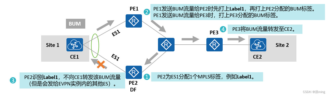 【EPVN】EVPN路由详解-CSDN博客