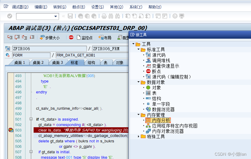 DEBUG_sap sm58-CSDN博客
