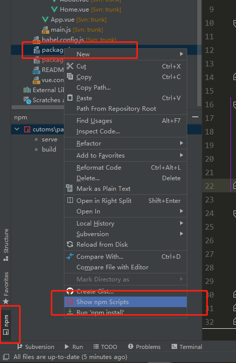 webstorm 左侧栏显示 npm_webstorm的npm框改变位置-CSDN博客