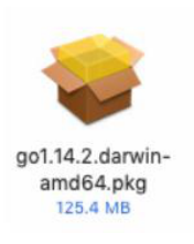 golang 基础（一）：安装、IDE、fmt、变量_gofmt 安装-CSDN博客