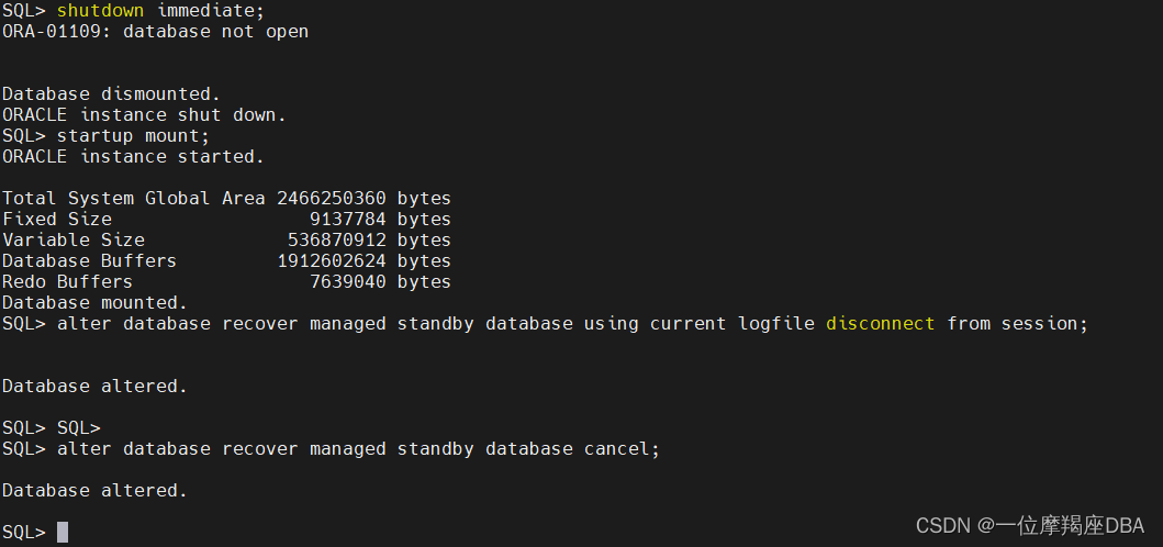 ORACLE-DG总结_oracle dg-CSDN博客