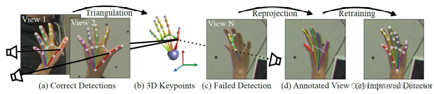 9月6日关键点检测学习笔记——人脸和手部特征点检测_人体手部关键点检测中心点-CSDN博客