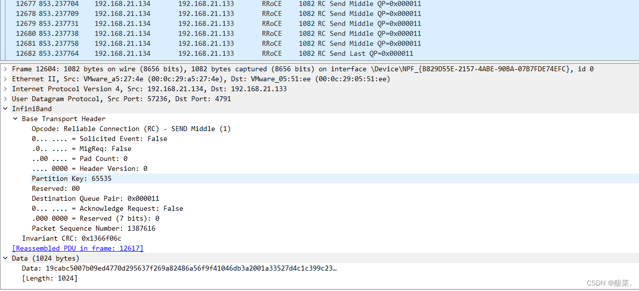RDMA Soft-RoCE实验操作_softroce-CSDN博客