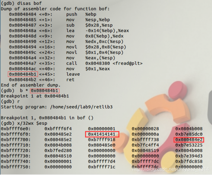 软件安全实验——lab9（缓冲区溢出：return-to-libc绕过非可执行堆栈）_return-to-libc示例-CSDN博客