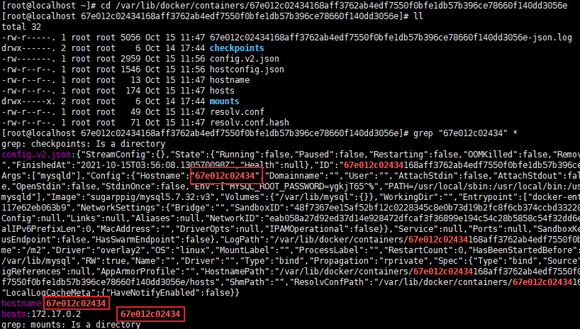 Docker 创建容器后再修改 hostname_群晖创建好的docker桥接改host-CSDN博客