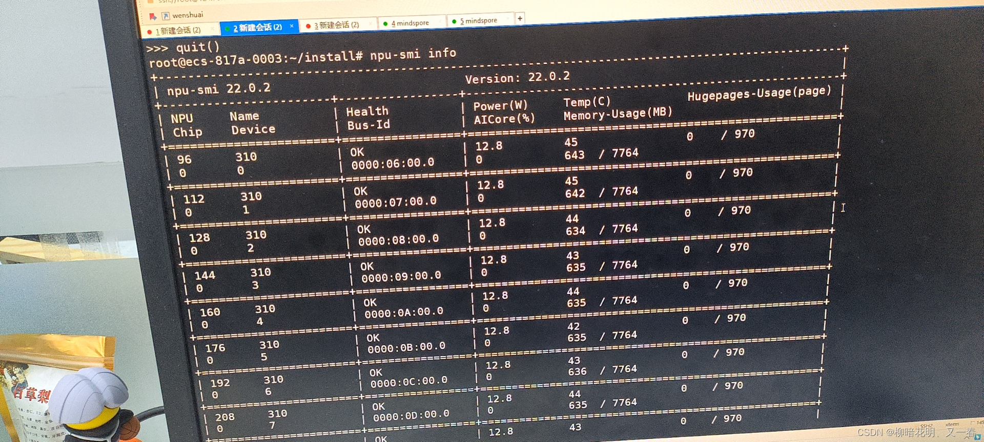 Ascend310 MindSpore安装入坑实操 Get Device HBM memory size failed_mindspore ascend310p3-CSDN博客