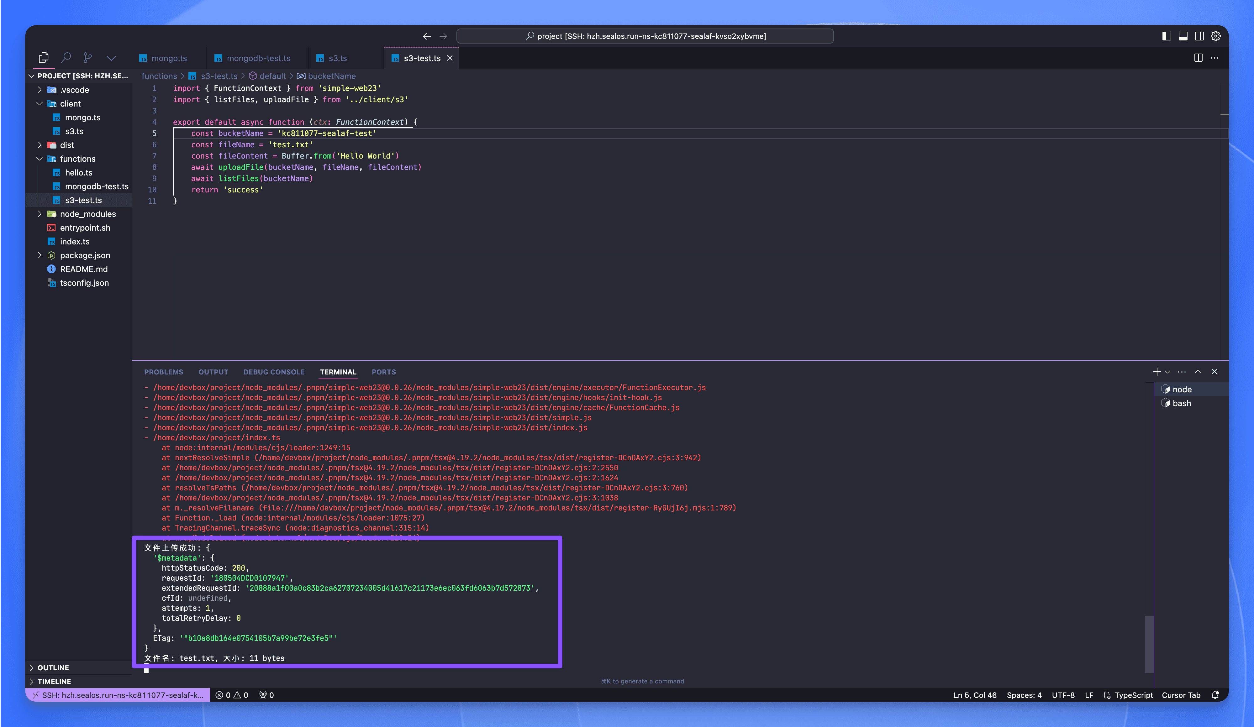 Sealos Devbox 云开发框架使用教程-CSDN博客