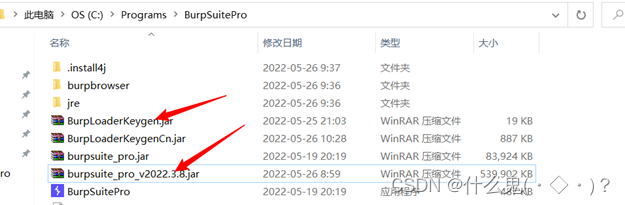 Burp Suite下载与安装详解_burp下载安装教程-CSDN博客