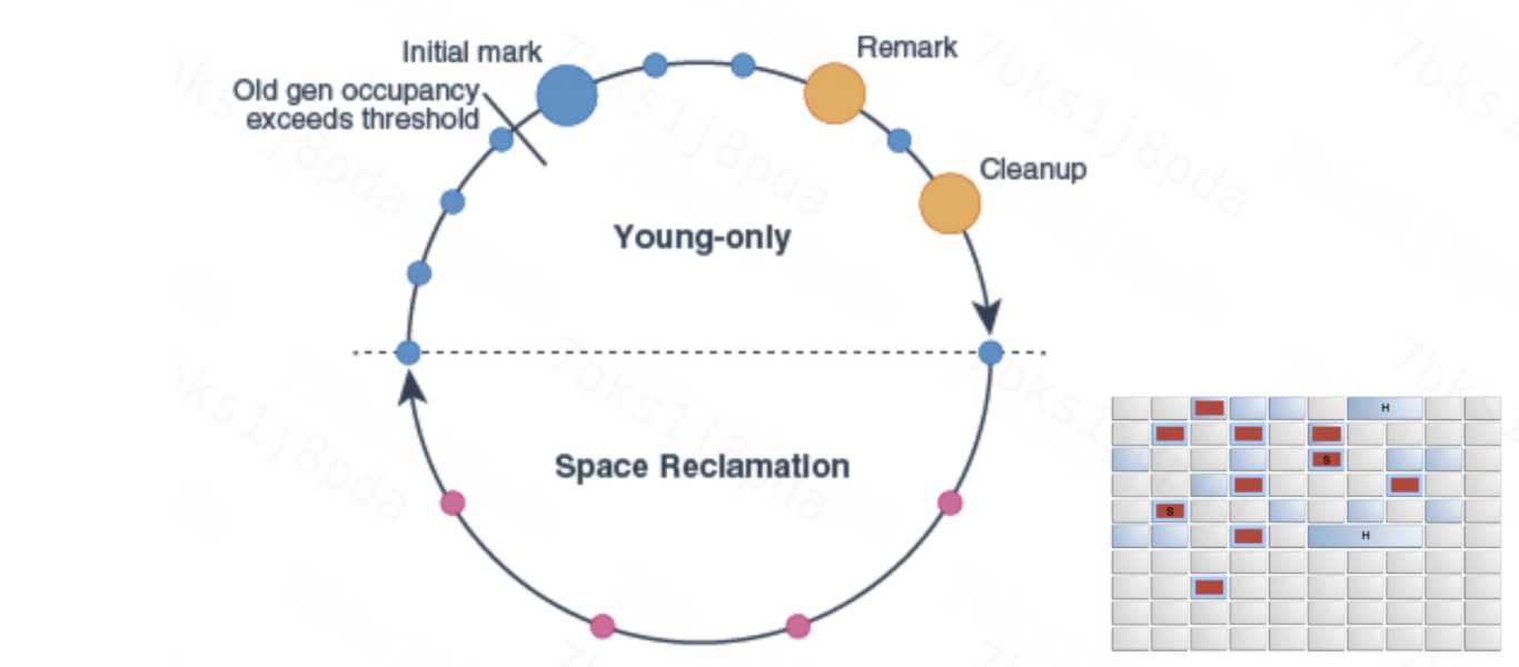 G1 GC 全过程与核心原理介绍_g1 gc过程-CSDN博客