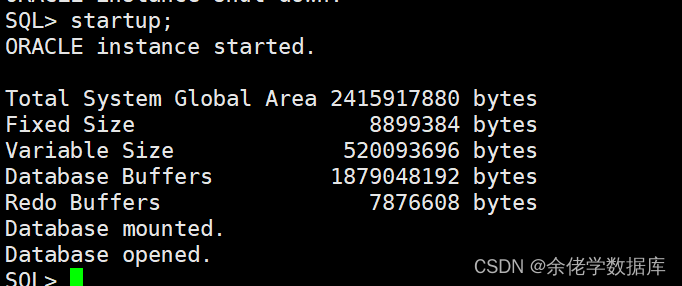 LRM-00109: could not open parameter file ‘/u01/app/oracle/product/19.0/dbhome/dbs/initCHECKSIR ...