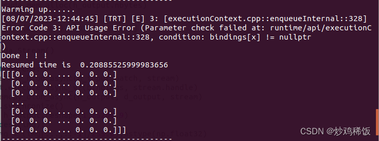 TensorRT推理过程出现condition: binding[x] != nullptr，output全0_condition: bindings[x] || nullbindingok ...