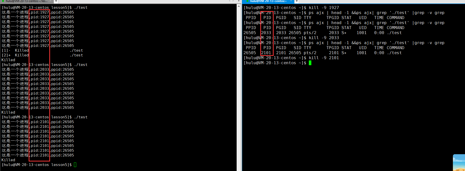 [ Linux ] 进程概念，pcb，查看进程，pid，ppid，fork_ppid 和spid 和pid-CSDN博客