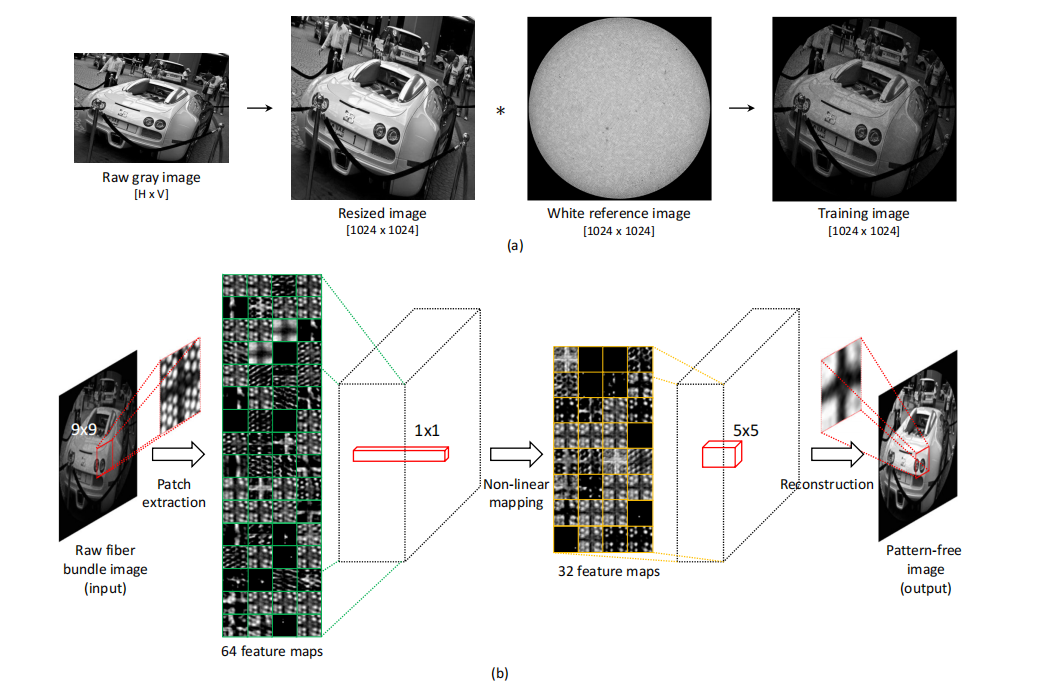 Honeycomb Artifact Removal Using Convolutional NeuralNetwork for Fiber Bundle Imaging_图像蜂窝状伪影-CSDN博客