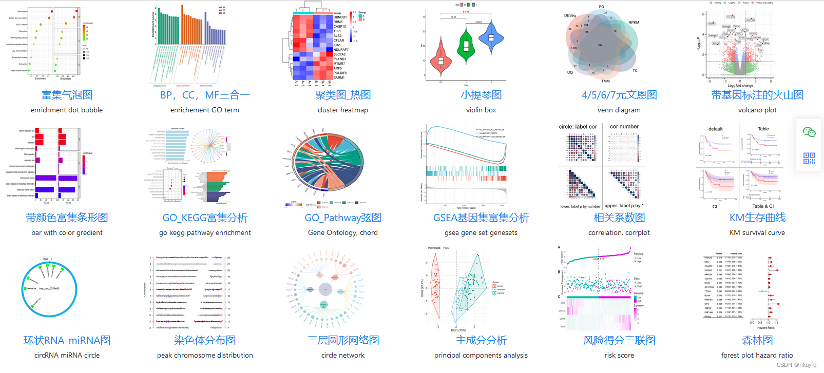 实用生信作图可视化在线工具大盘点-持续更新_chiplot-CSDN博客