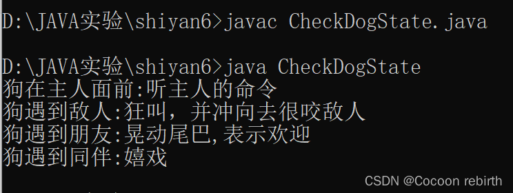 Java实验六 接口与实现java接口实验案例 Csdn博客