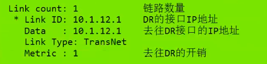 【ospf路由计算（一类LSA-router、二类LSA-Network、三类LSA-sum-Net）】-20211228-30-CSDN博客