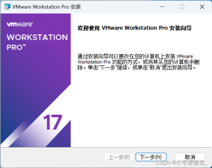 【推荐】Win11+VMware 17 Pro+Ubuntu 20.04安装_win11安装vmware17-CSDN博客