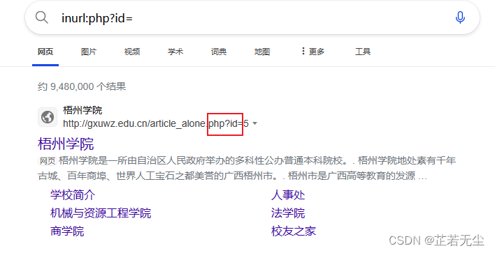 Google hacking语法的作用与示例-CSDN博客