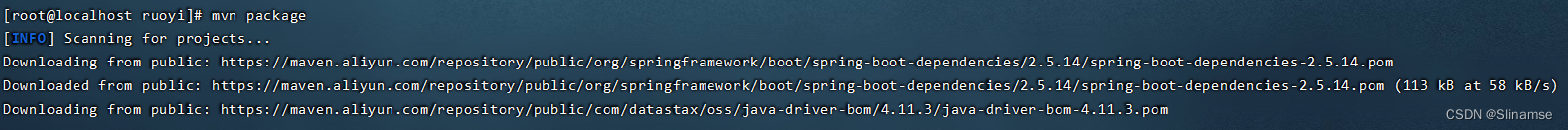 前后端分离式项目实战手动部署（CodeSheep）-CSDN博客