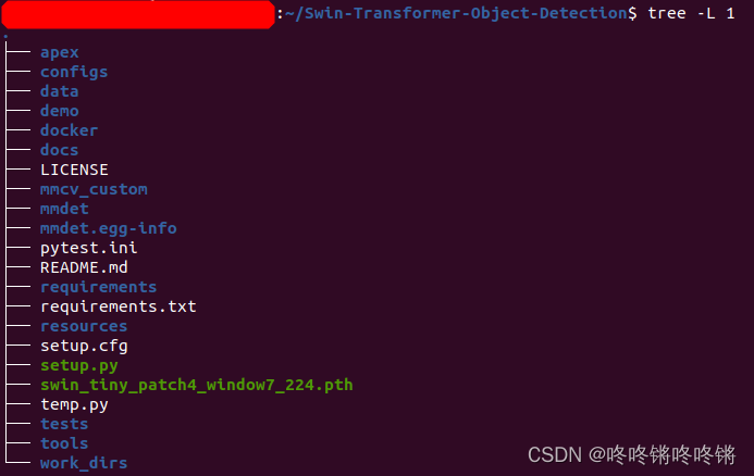 Pytorch版本Swin-Transformer目标检测训练自己的数据集_swin transformer目标检测-CSDN博客