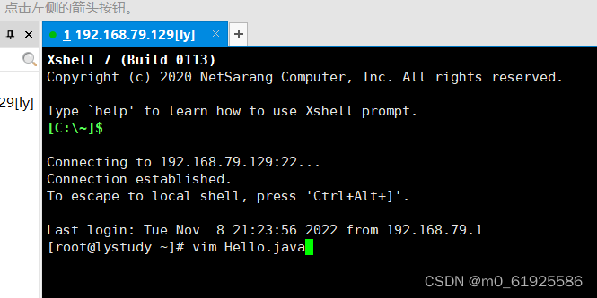 Linux——vi和vim编辑器_linux编辑文本vi vim-CSDN博客