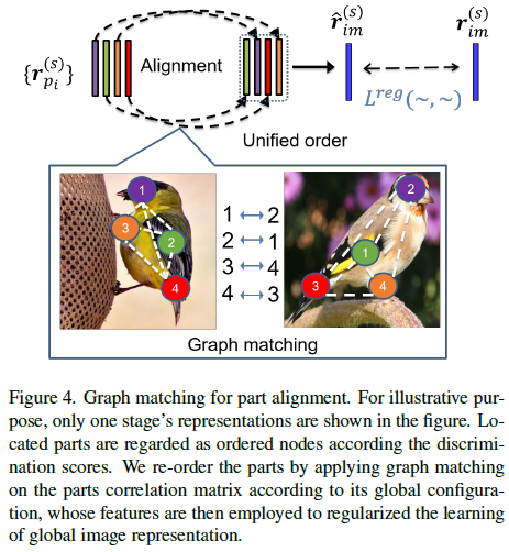 [CVPR 2022] Fine-Grained Object Classification via Self-Supervised Pose Alignment-CSDN博客