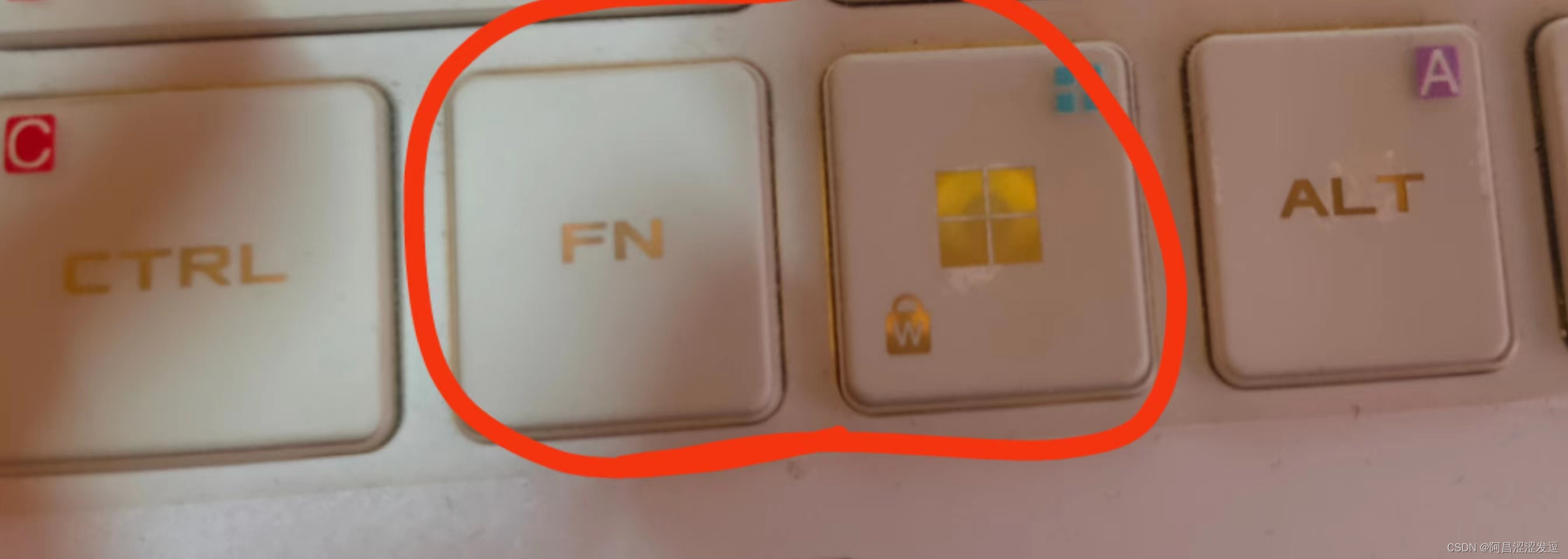 win11 快捷键无法使用？键盘win无法呼出？win+d无法显示桌面？_win11 win+d没反应-CSDN博客