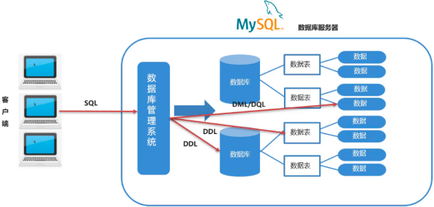 MYSQL概念及idea连接数据库管理系统语法分类DDL，DML，DQL，聚合函数，分组查询，约束，表关系_idea和数据库的链接名可以是关键词吗-CSDN博客