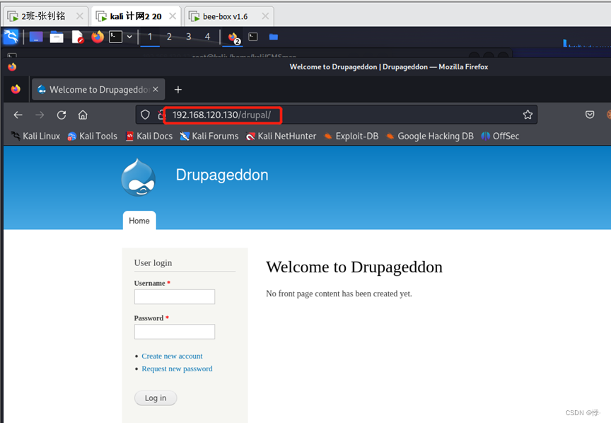 web使用自动扫描器_web扫描器-CSDN博客