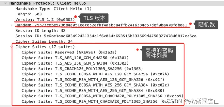 HTTPS原理---RSA密钥协商算法_ssl协商密钥-CSDN博客