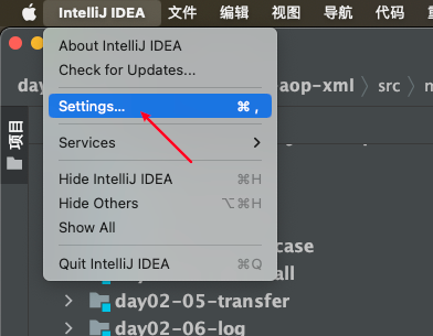 Mac IDEA 2021版 关闭代码编辑区分割线_idea中间有一条竖线什么意思-CSDN博客