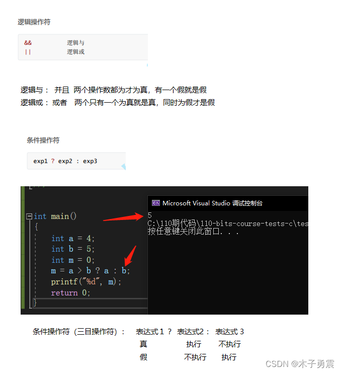 函数、数组、操作符 一文搞定 Csdn博客