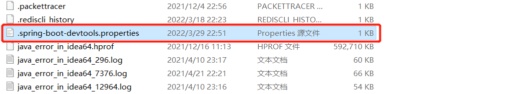 Spring Boot DevTools 全局配置_springboot devtools配置-CSDN博客