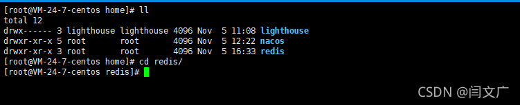Linux环境中docker安装redis Linux 安装redis Docker Csdn博客