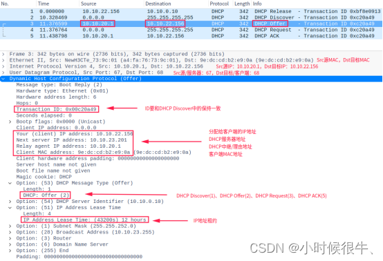 DHCP抓包-Wireshark分析-CSDN博客