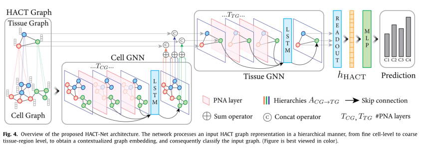 Hierarchical graph representations in digital pathology-CSDN博客