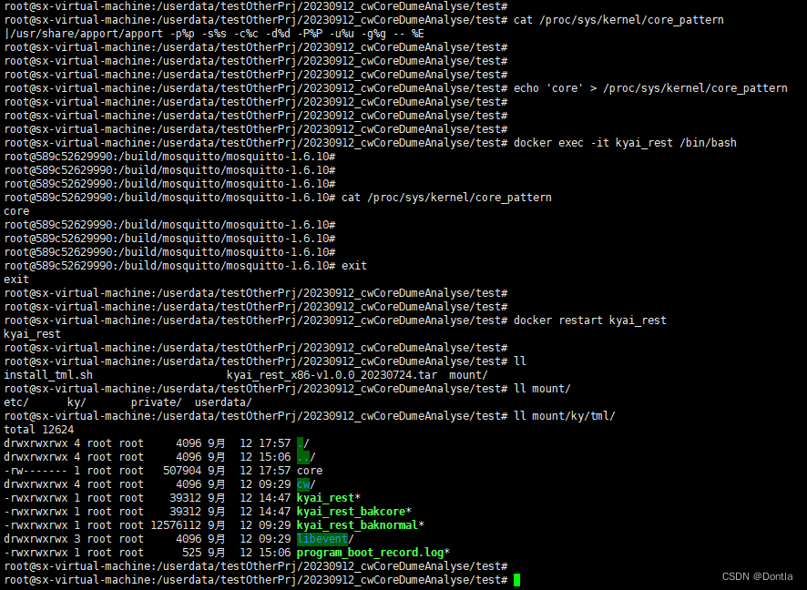 C++ docker核心转储core dump（容器中修改/proc/sys/kernel/core_pattern需开启特权模式--privileged=true）_docker 内部发生了 ...