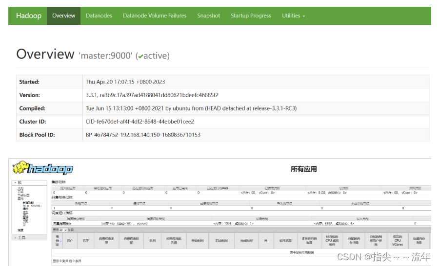 Hadoop安装 Csdn博客